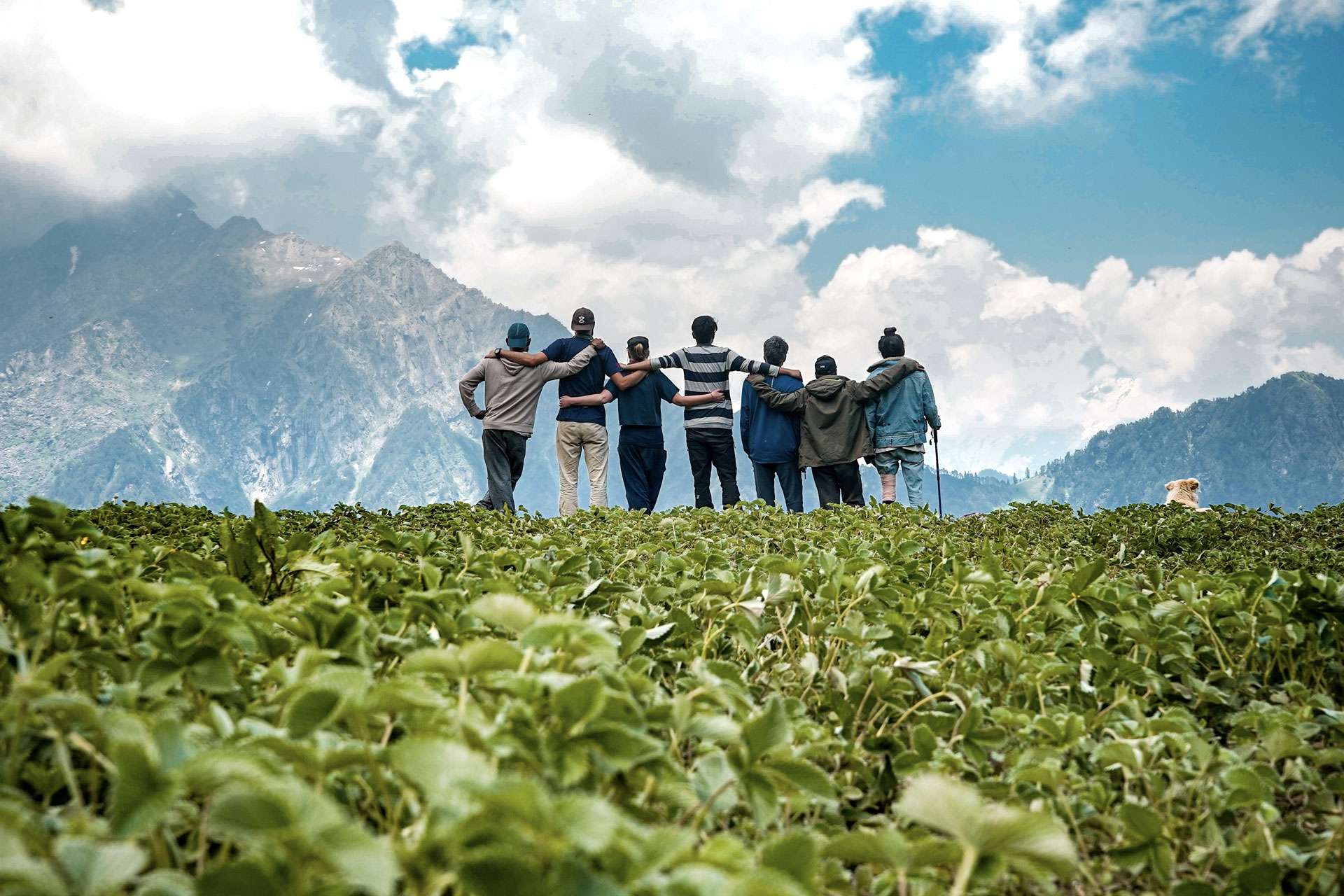 Palace Bungalow Group Package – Chithirapuram Palace